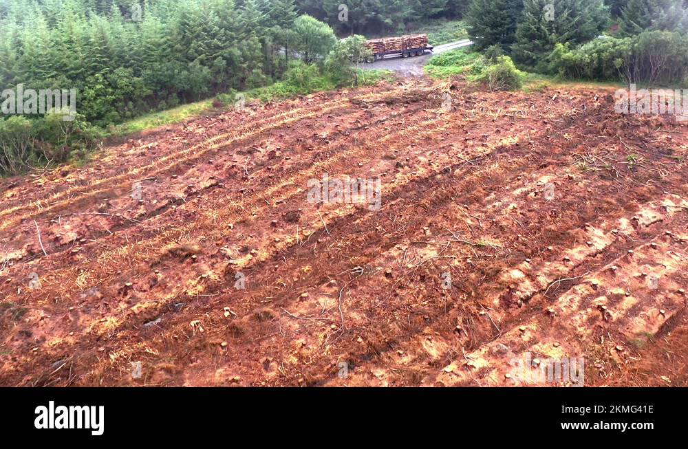 Deforestation rain forests Stock Videos & Footage - HD and 4K Video ...