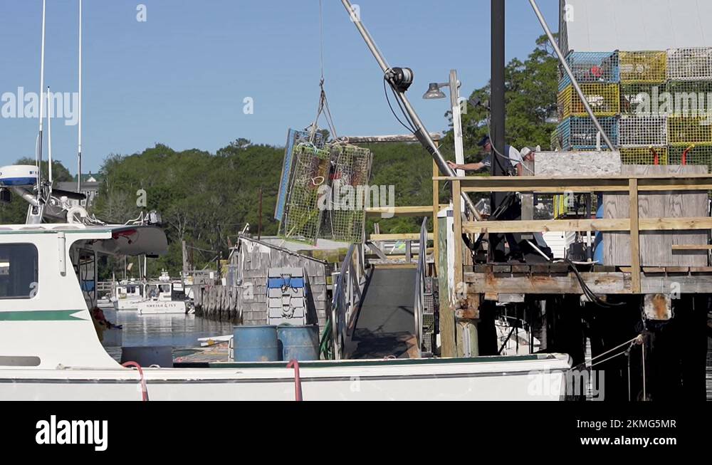 Men lobster traps Stock Videos & Footage - HD and 4K Video Clips - Alamy