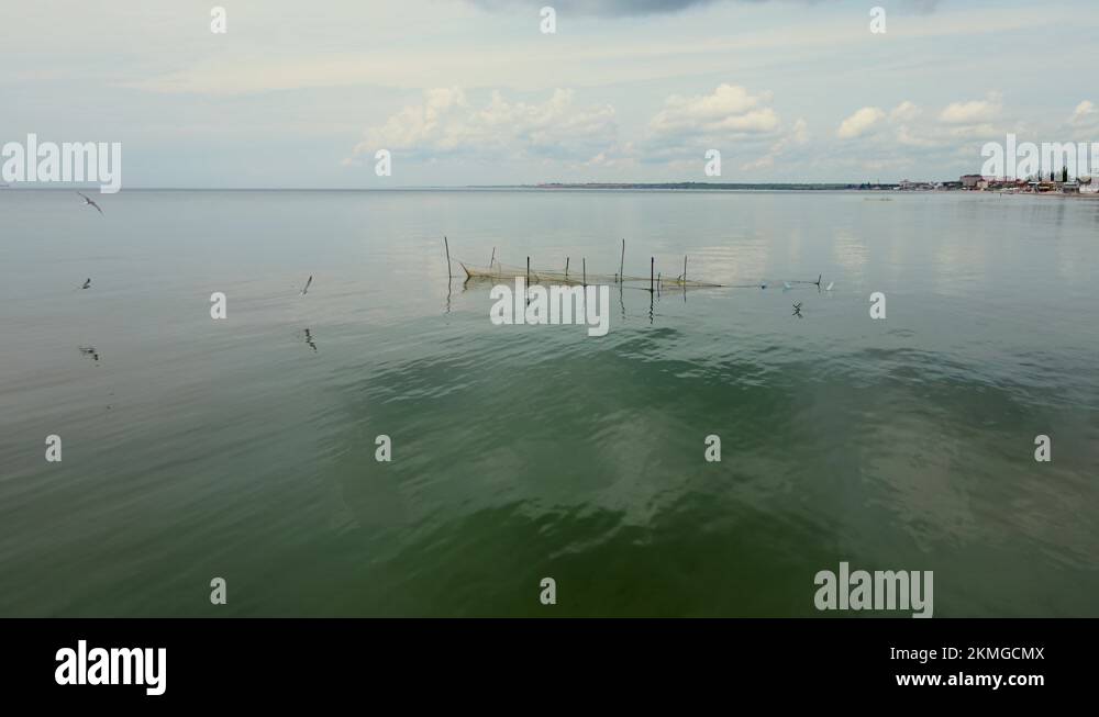 Catching fish in nets Stock Videos & Footage - HD and 4K Video Clips ...