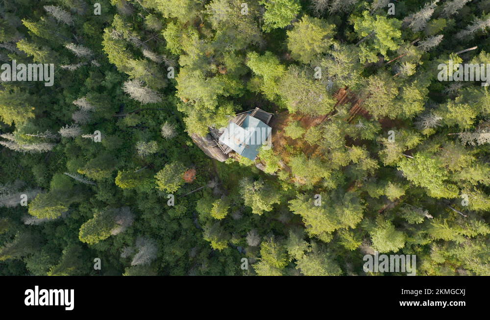 Edelweiss hut Stock Videos & Footage - HD and 4K Video Clips - Alamy