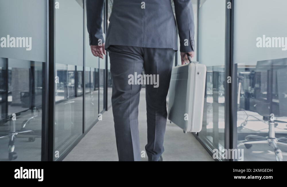 Back view walking business team Stock Videos & Footage - HD and 4K ...