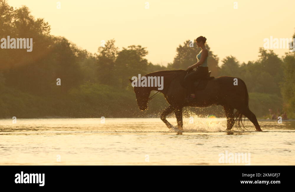 Horse rider crossing a river Stock Videos & Footage - HD and 4K Video ...