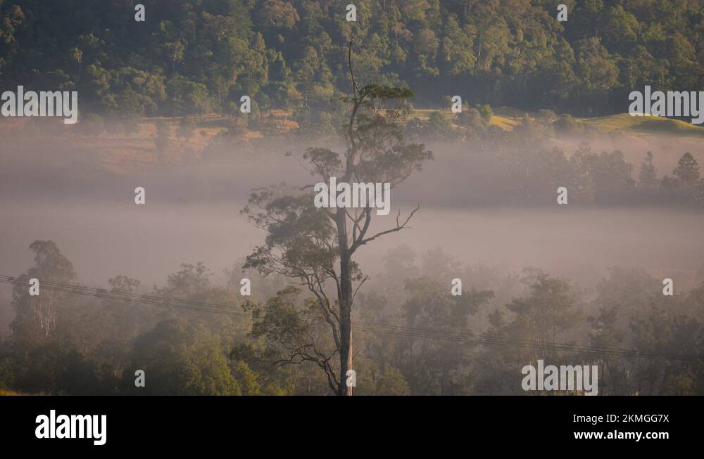 Foggy sunrise in the Numinbah Valley on the Gold Coast Hinterland Stock ...
