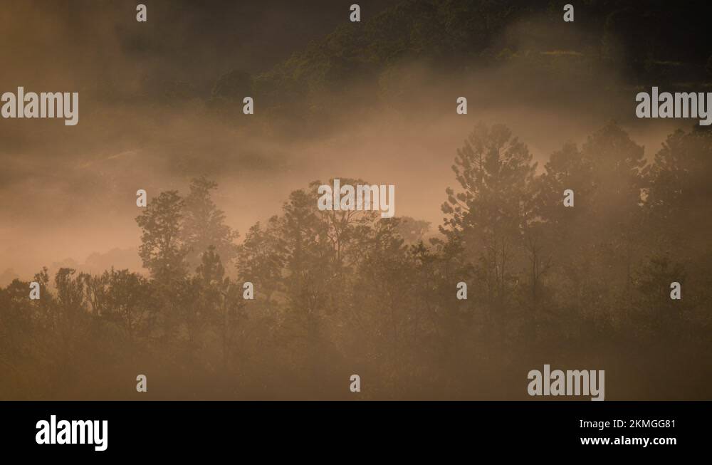 Foggy sunrise in the Numinbah Valley on the Gold Coast Hinterland Stock ...