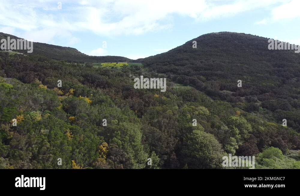 Mountain landscape hillside trees Stock Videos & Footage - HD and 4K ...