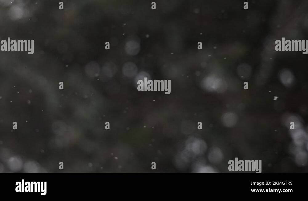 Blowing sideways Stock Videos & Footage - HD and 4K Video Clips - Alamy