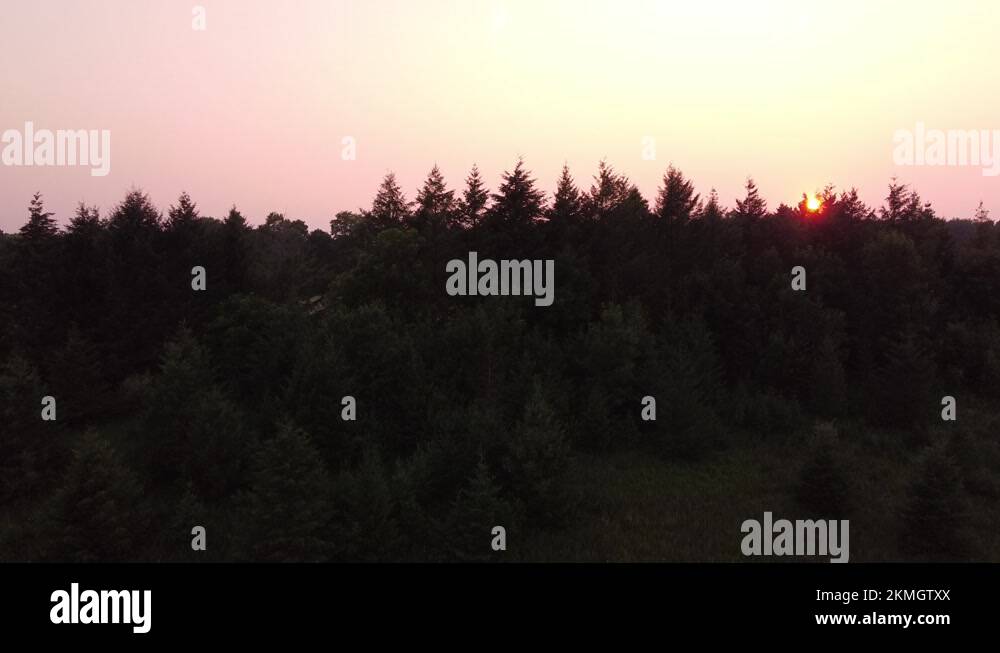 Green field pink sky Stock Videos & Footage - HD and 4K Video Clips - Alamy