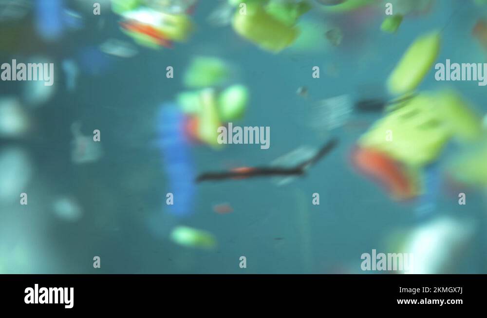 Microplastics in water Stock Videos & Footage - HD and 4K Video Clips ...