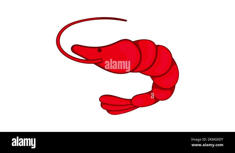 Cartoon shrimp Stock Videos & Footage - HD and 4K Video Clips - Alamy