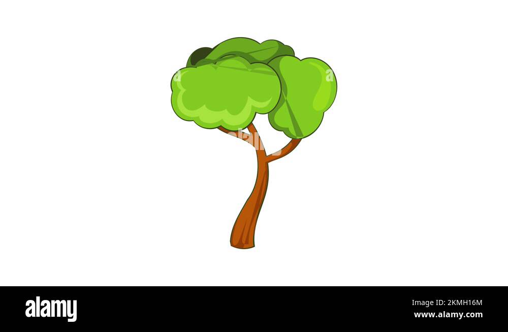 Deciduous deciduous tree Stock Videos & Footage - HD and 4K Video Clips ...