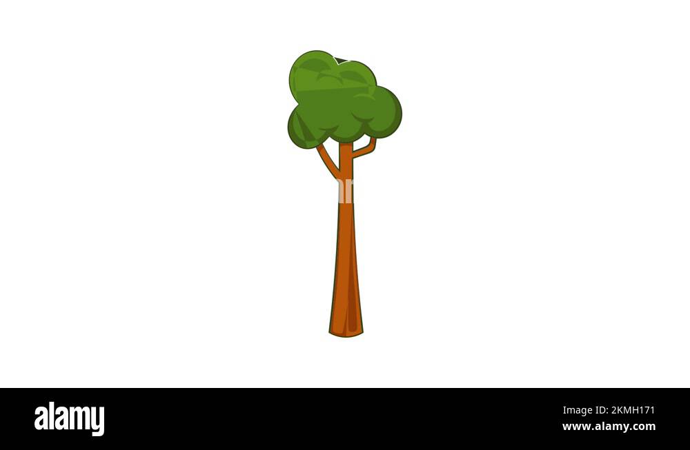 Thin tree Stock Videos & Footage - HD and 4K Video Clips - Alamy