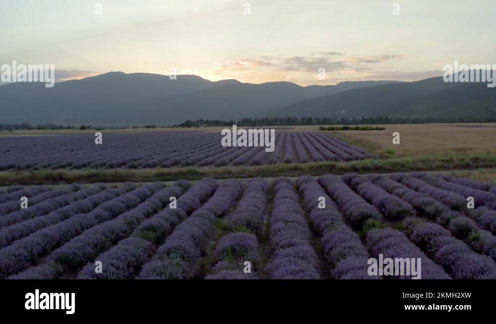 Balkan fields Stock Videos & Footage - HD and 4K Video Clips - Alamy