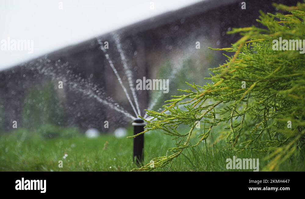 Water smart garden Stock Videos & Footage - HD and 4K Video Clips - Alamy