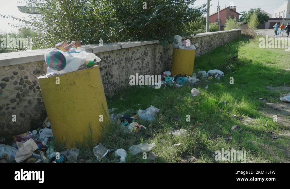 Outdoor litter Stock Videos & Footage - HD and 4K Video Clips - Alamy