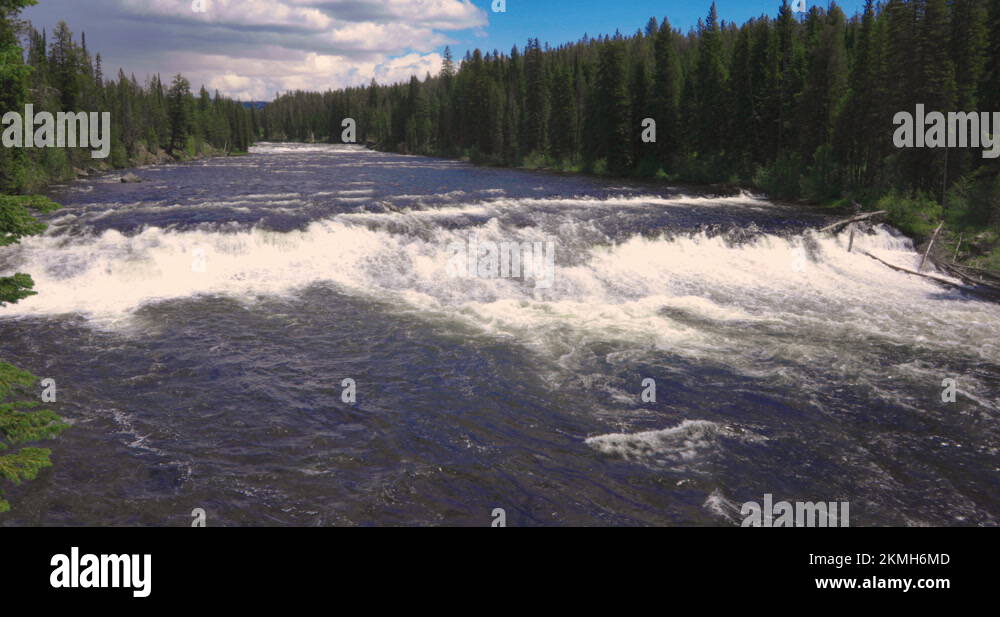 Water falls in evergreen forest Stock Videos & Footage - HD and 4K ...