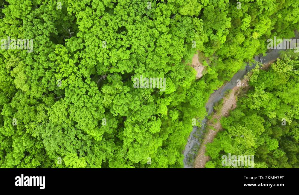 Undisturbed river Stock Videos & Footage - HD and 4K Video Clips - Alamy