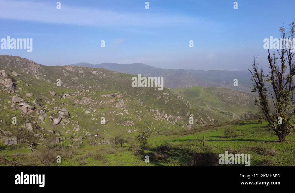 Green ecosystem Stock Videos & Footage - HD and 4K Video Clips - Alamy