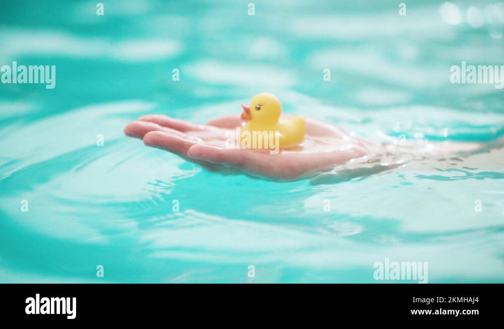 Ducky toy Stock Videos & Footage - HD and 4K Video Clips - Alamy