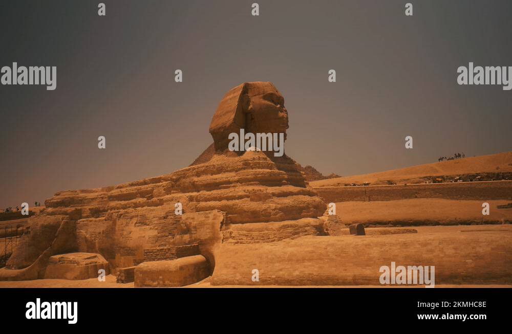 Bird of egypt Stock Videos & Footage - HD and 4K Video Clips - Alamy