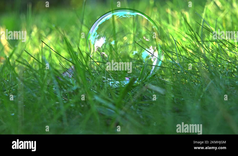 Bubble grass Stock Videos & Footage - HD and 4K Video Clips - Alamy