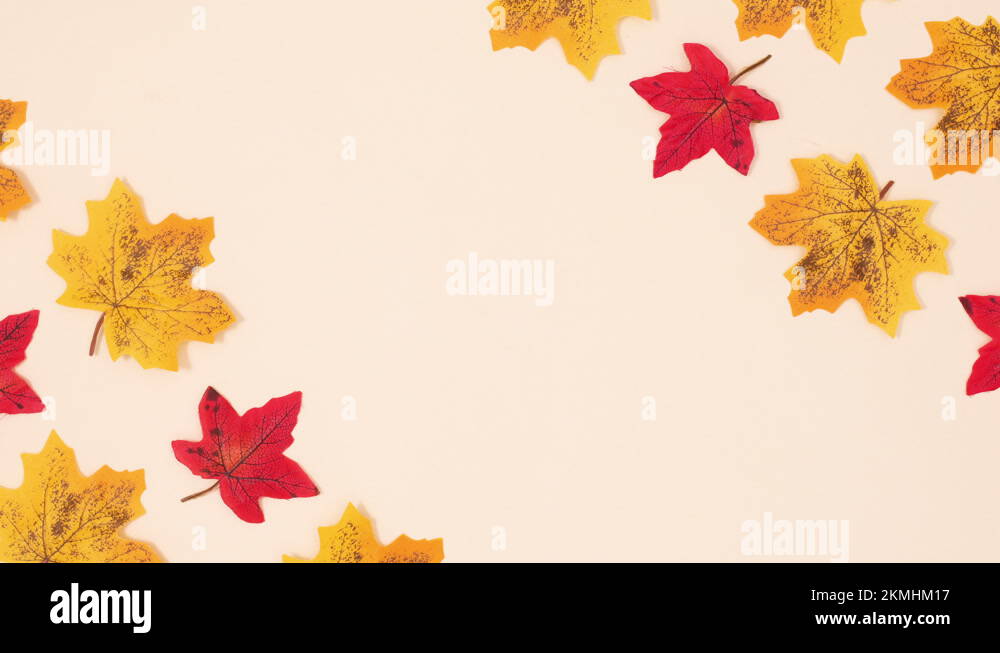 Left corner border Stock Videos & Footage - HD and 4K Video Clips - Alamy