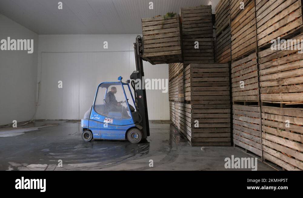 Funny gates Stock Videos & Footage - HD and 4K Video Clips - Alamy