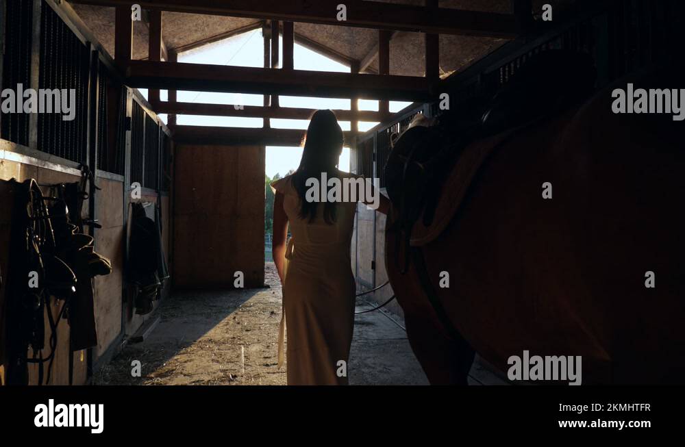 Horse stable gate Stock Videos & Footage - HD and 4K Video Clips - Alamy