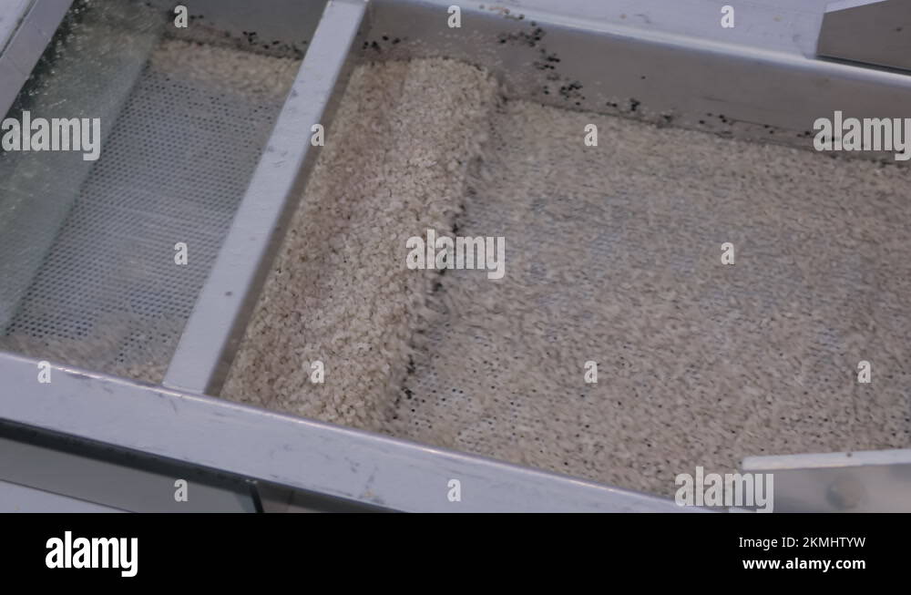 Recycled plastic granules on automatic shale shaker, conveyor belt at ...