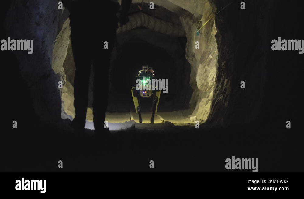 Cave scientist Stock Videos & Footage - HD and 4K Video Clips - Alamy