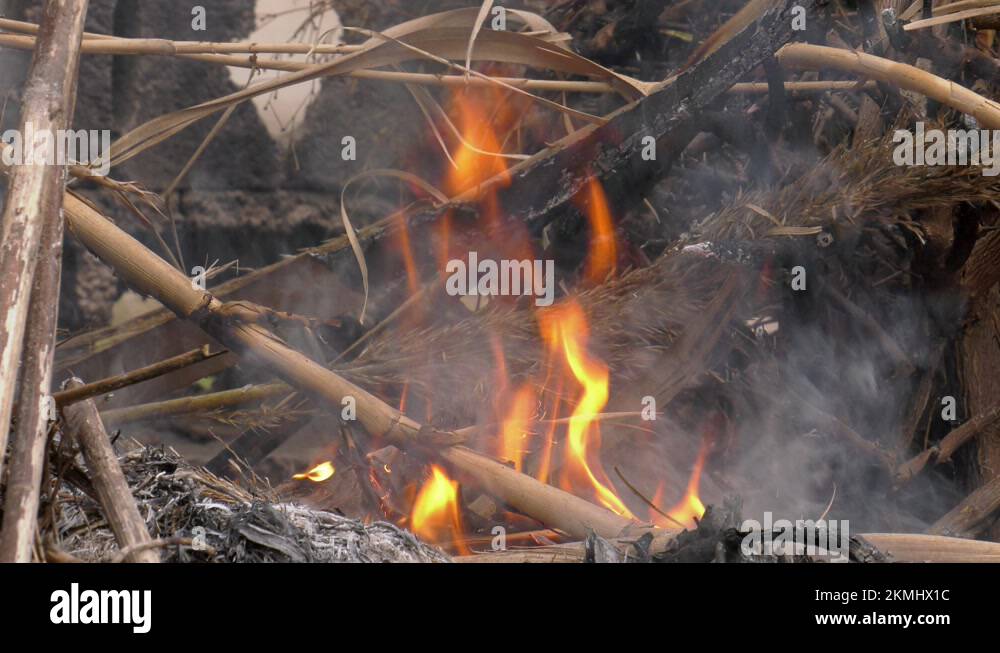 Waste burning Stock Videos & Footage - HD and 4K Video Clips - Alamy