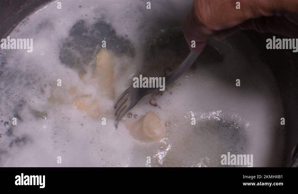 Queen Conch Lobatus gigas TAKING BOILER COOKING Stock Video Footage - Alamy