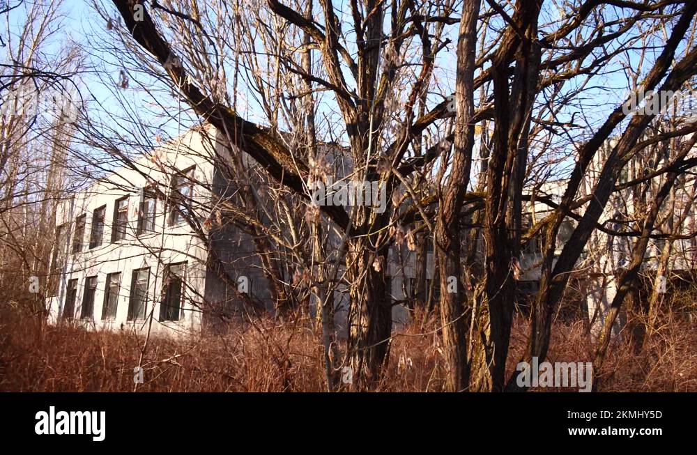Building and Art Center peeking through winter trees, Chernobyl Pripyat ...