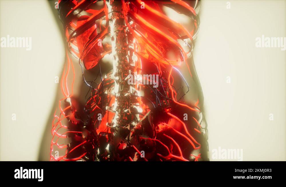 inspection of blood in the blood vessels of the circulatory system ...