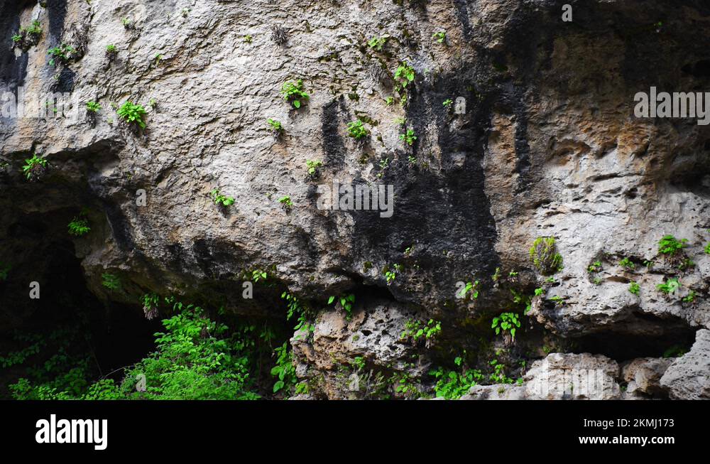 Limestone rock formation Stock Videos & Footage - HD and 4K Video Clips ...