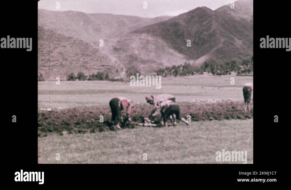 Indigenous tools Stock Videos & Footage - HD and 4K Video Clips - Alamy