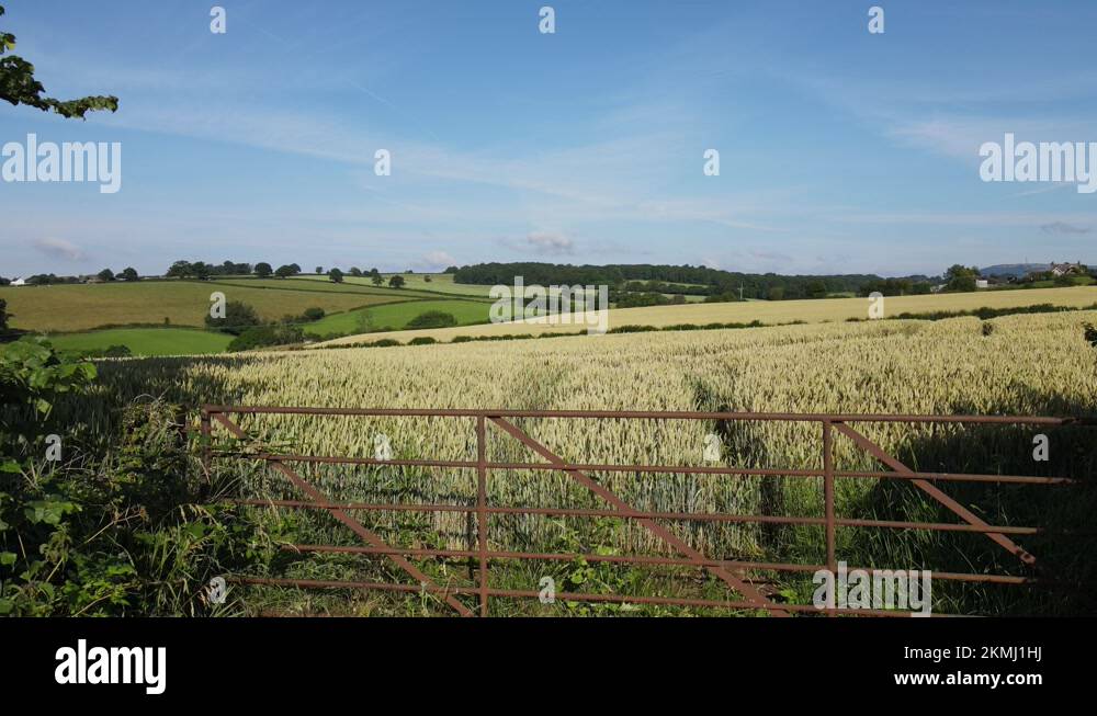 Blue gate fields Stock Videos & Footage - HD and 4K Video Clips - Alamy