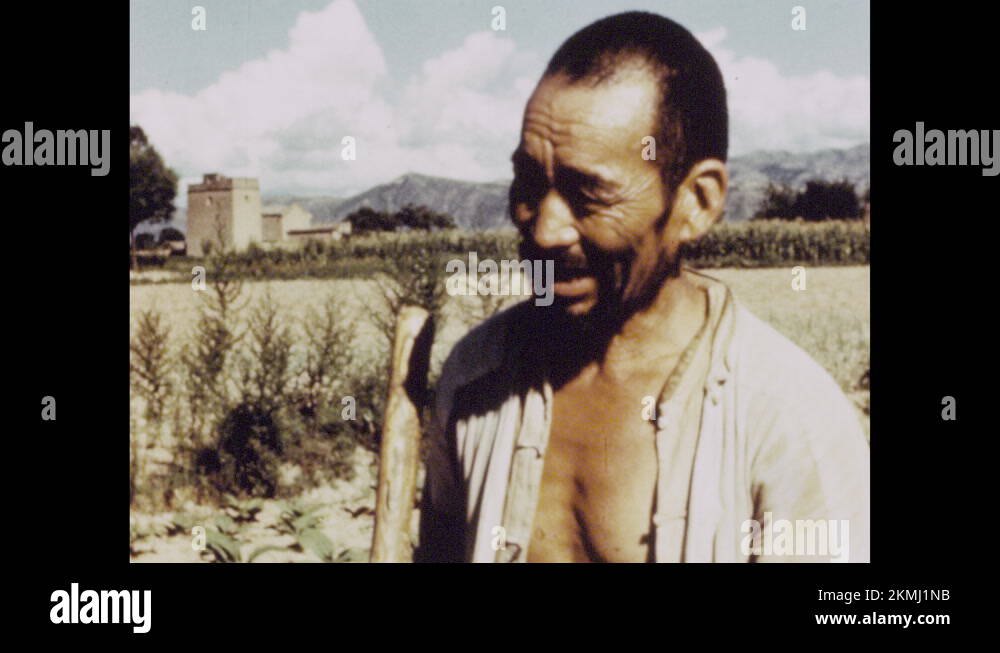 Tool on shade Stock Videos & Footage - HD and 4K Video Clips - Alamy