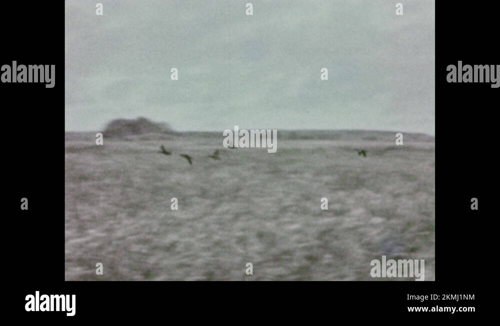Great migration map Stock Videos & Footage - HD and 4K Video Clips - Alamy