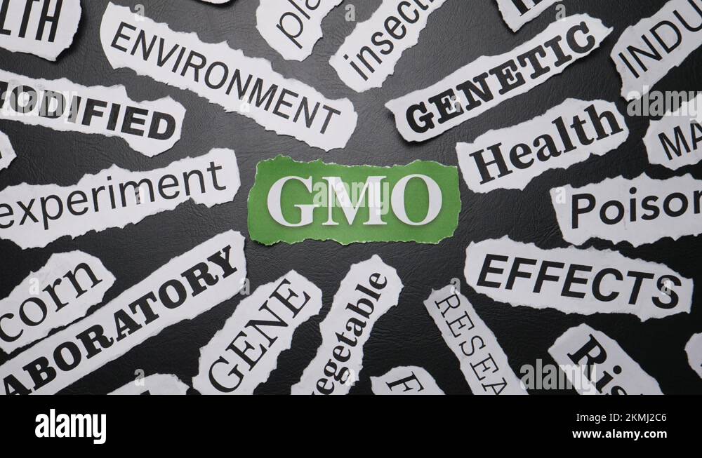 Genetically modified organisms Stock Videos & Footage - HD and 4K Video ...