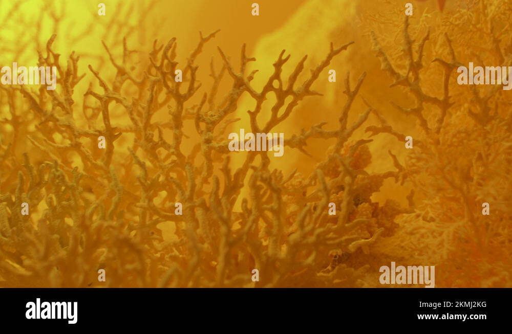 Idea execution Stock Videos & Footage - HD and 4K Video Clips - Alamy