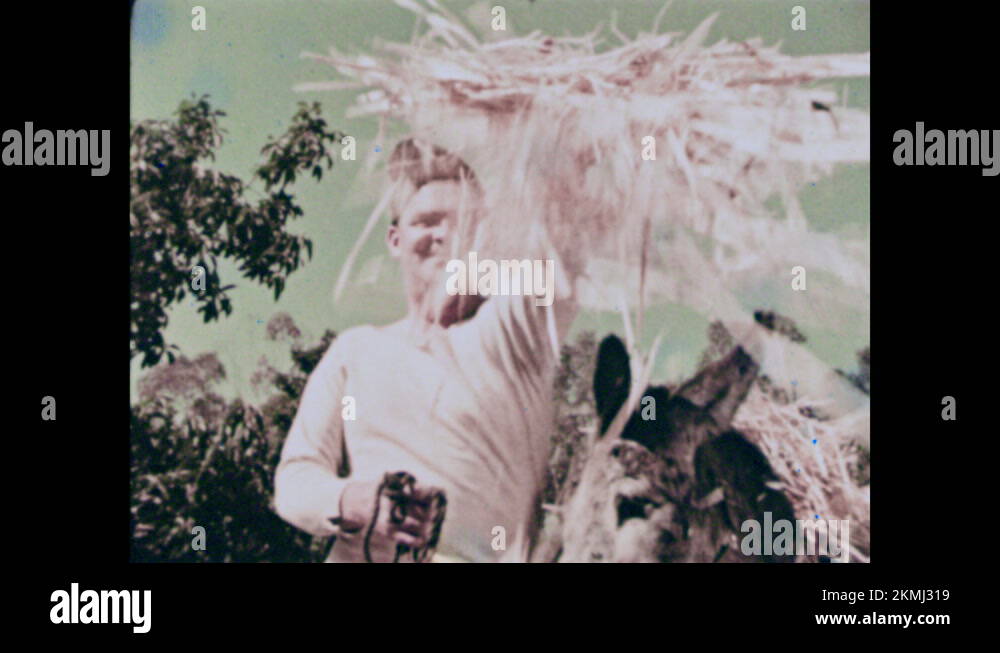 Mule pack animal Stock Videos & Footage - HD and 4K Video Clips - Alamy