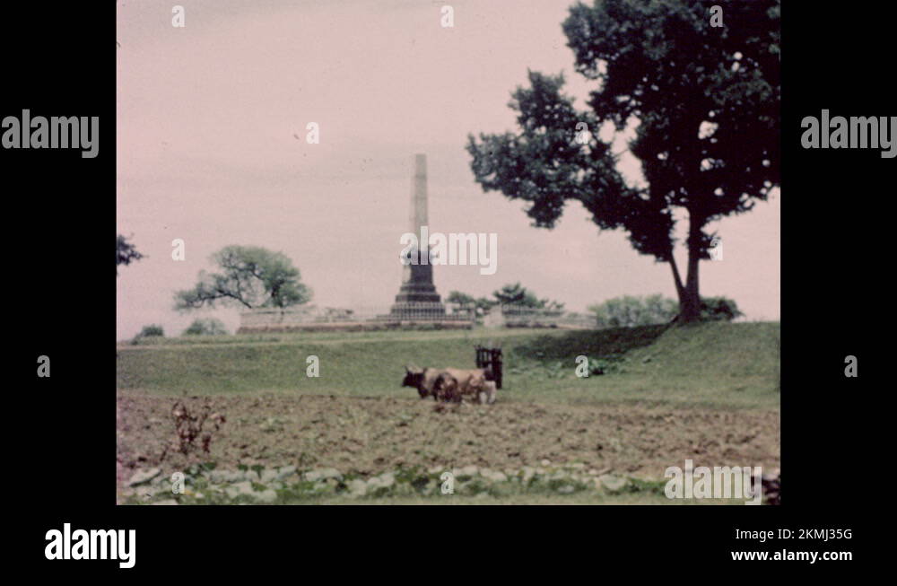 Battle cattle Stock Videos & Footage - HD and 4K Video Clips - Alamy