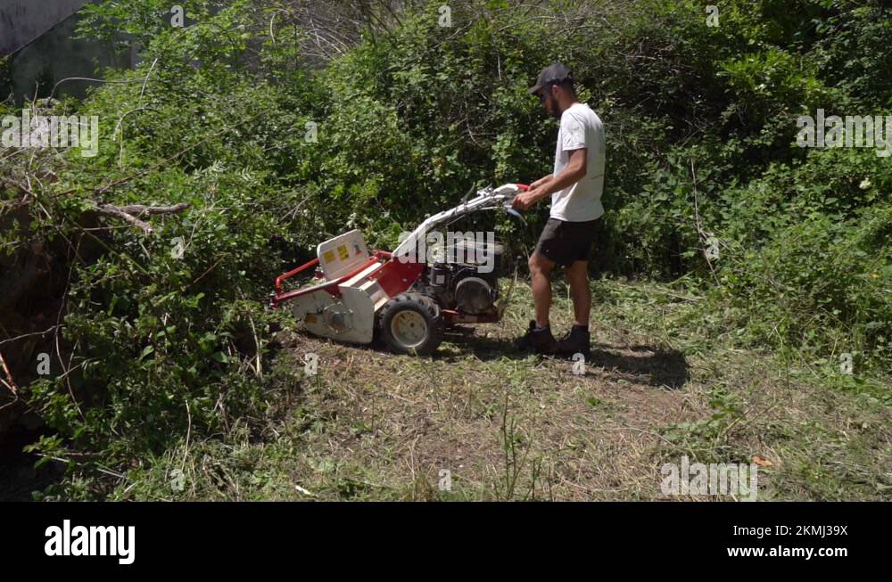 Cleaning up the garden Stock Videos & Footage - HD and 4K Video Clips ...