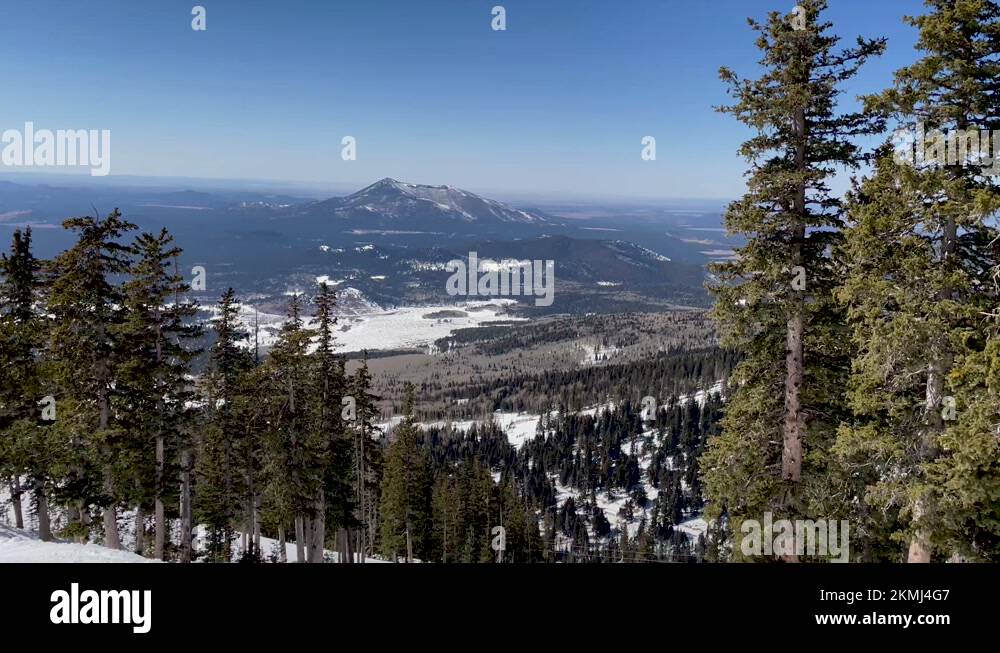 Mount pine view Stock Videos & Footage - HD and 4K Video Clips - Alamy