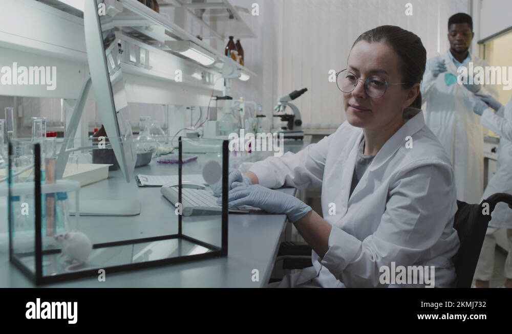 Rat typing Stock Videos & Footage - HD and 4K Video Clips - Alamy