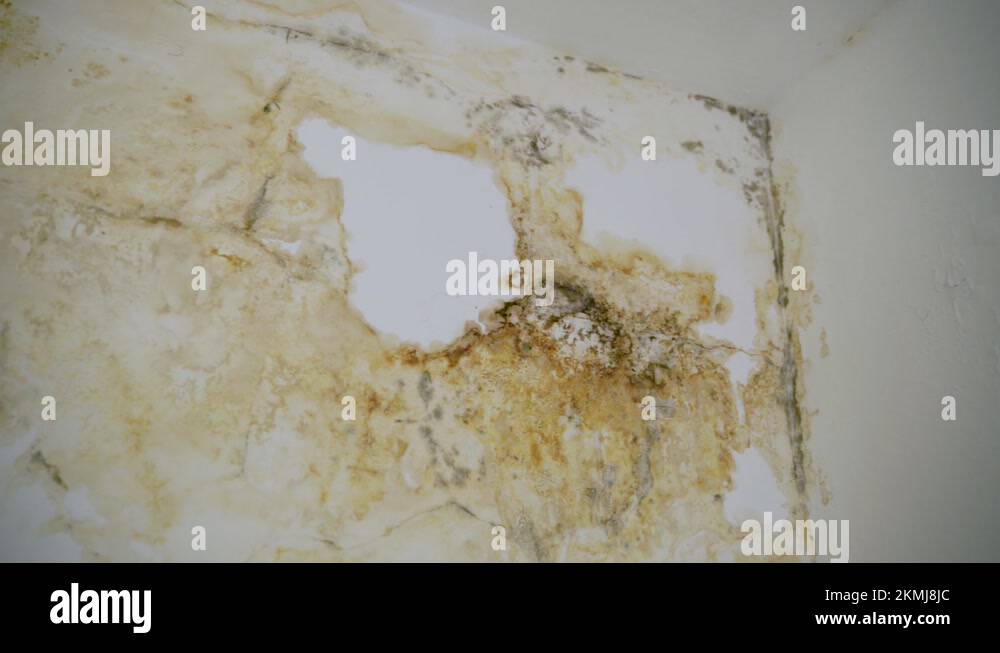 House water stain wall Stock Videos & Footage - HD and 4K Video Clips ...