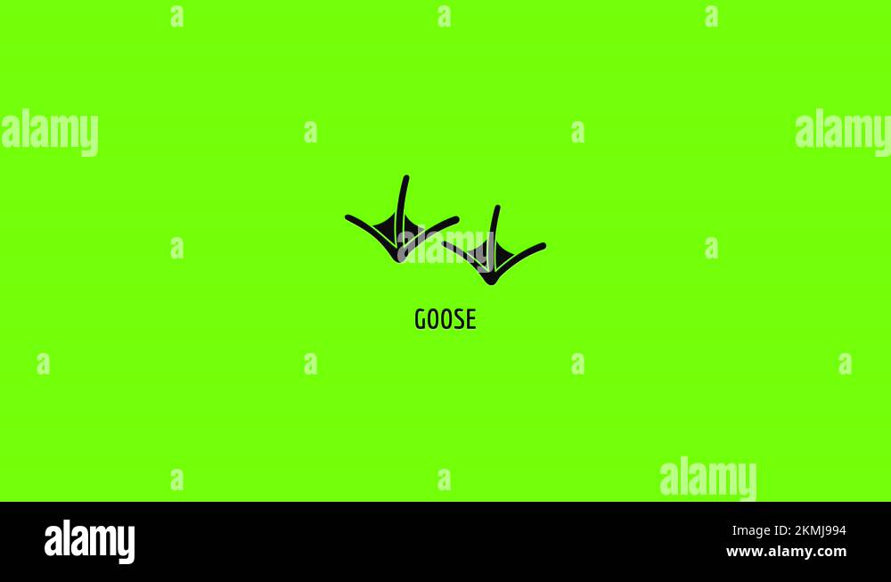 Goose step Stock Videos & Footage - HD and 4K Video Clips - Alamy