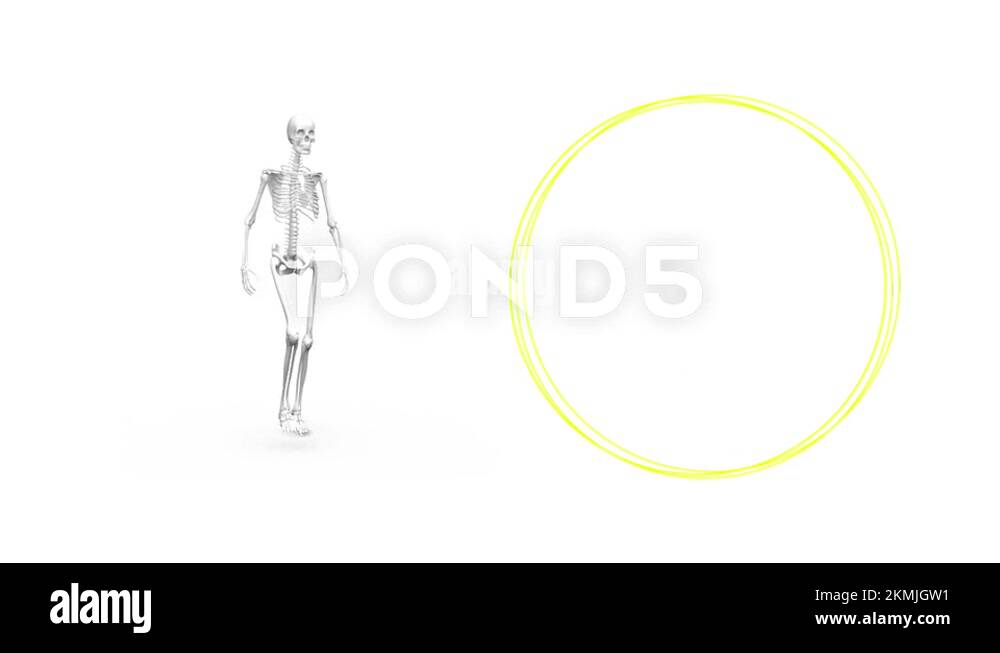 Abstract human shapes Stock Videos & Footage - HD and 4K Video Clips ...