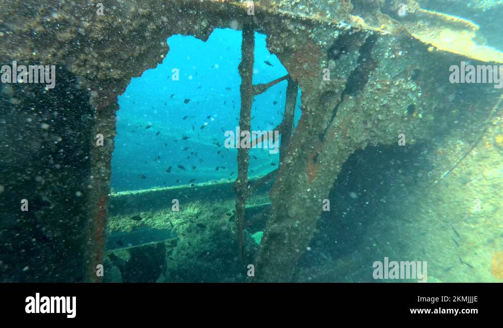 School of fish swimming along shipwreck Michelle, Dugi Otok, Croatia ...