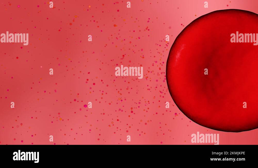 Large red blood cell Stock Videos & Footage - HD and 4K Video Clips - Alamy